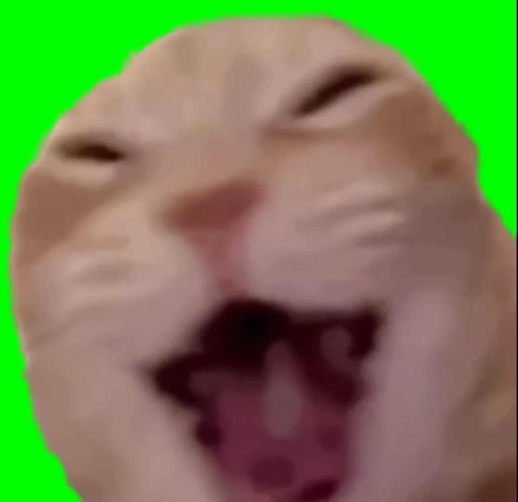 Top Cat Laughing Memes That Will Leave You in Stitches - Dubbing AI Blog