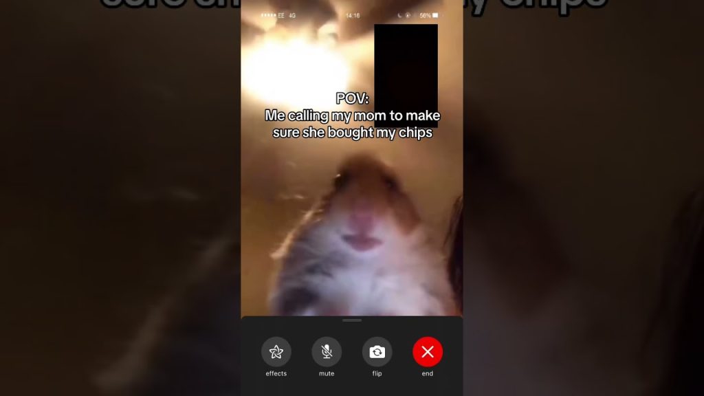 Sad Hamster Song: Funniest Meme Versions - Dubbing AI Blog