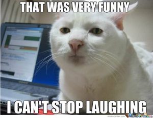 Top Cat Laughing Memes That Will Leave You in Stitches - Dubbing AI Blog